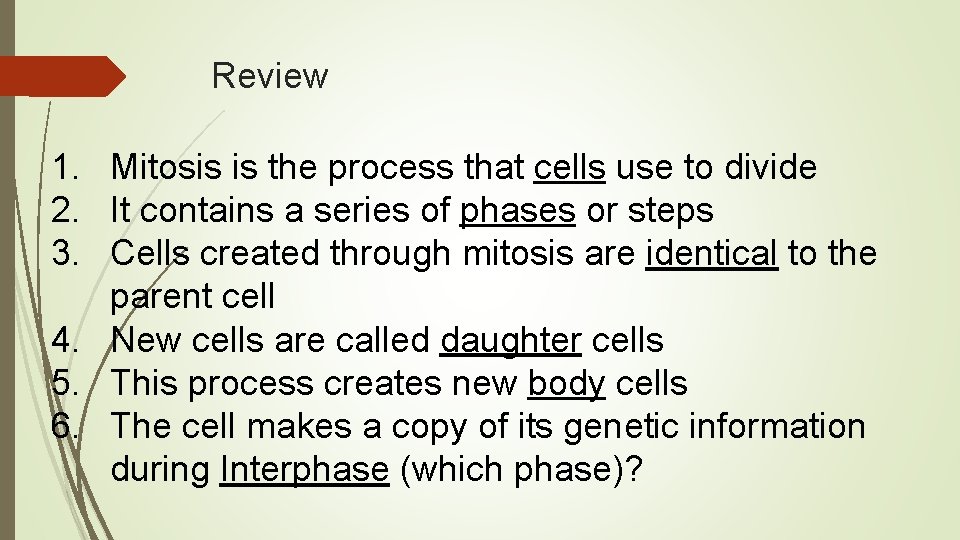 Modeling Mitosis How living things create new cells