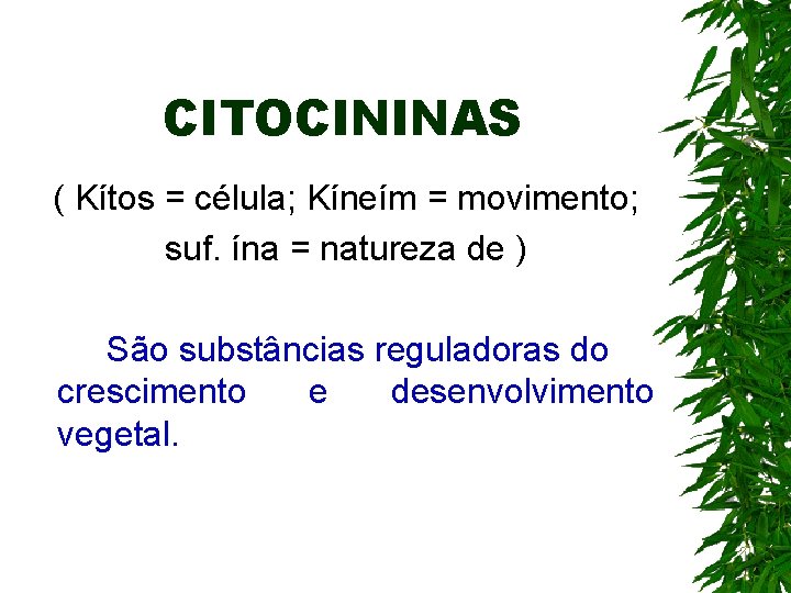 SISTEMA HORMONAL HORMNIOS VEGETAIS OU FITORMNIOS HORMNIOS VEGETAIS