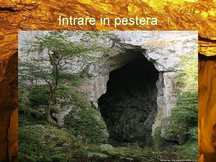 Ecosistemul unei pesteri Elev Folescu Mircea Prof Ciutu