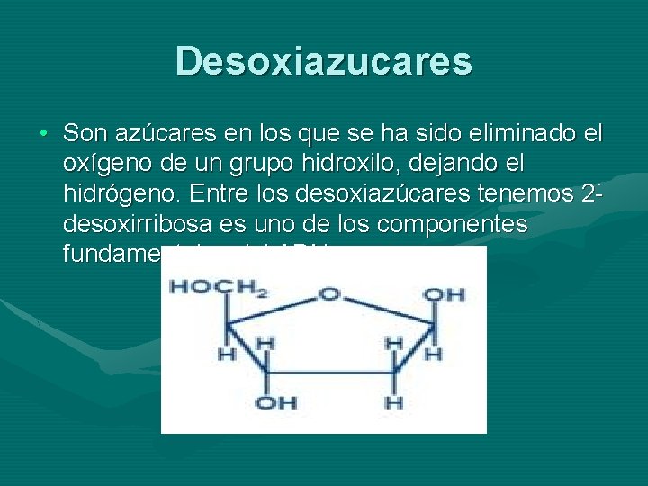 Carbohidratos Ctedra de bioqumica 1 Universidad Central del