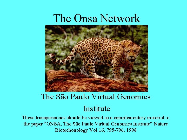 The Onsa Network The So Paulo Virtual Genomics