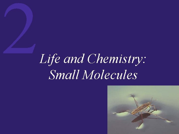 2 Life and Chemistry Small Molecules 2 2