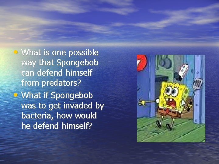 Sponge Defenses How does a sponge defend itself