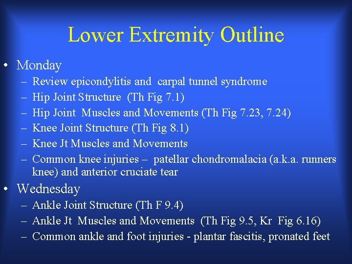 Week 8 Muscles and Movements of Lower Extremity