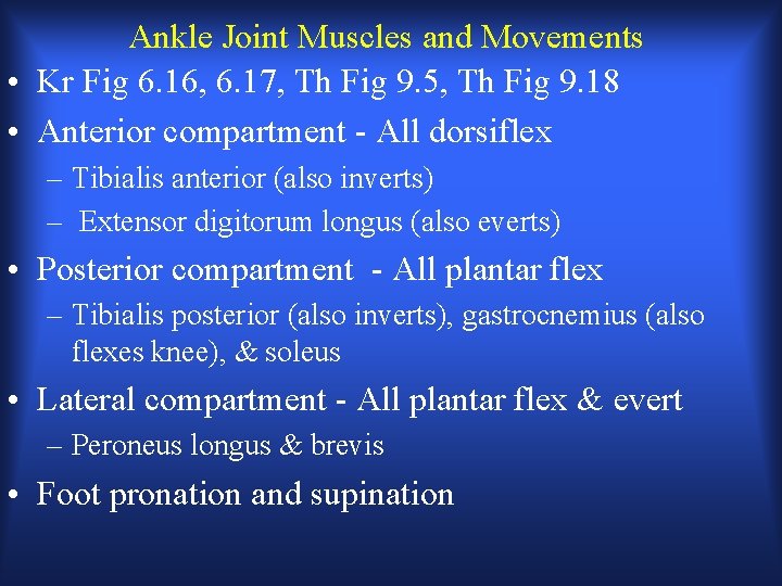 Week 8 Muscles and Movements of Lower Extremity