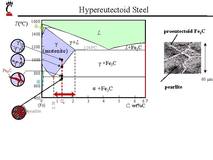 Chapter 9 Phase Diagrams ISSUES TO ADDRESS When