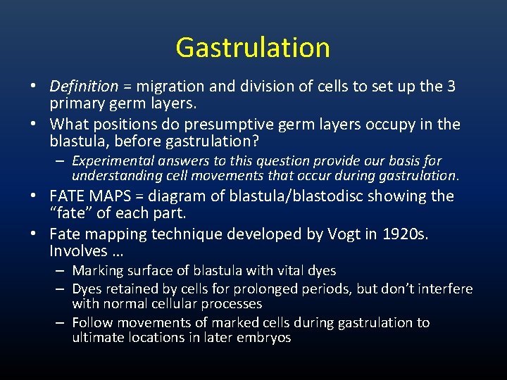 Gastrulation Definition migration and division of cells to