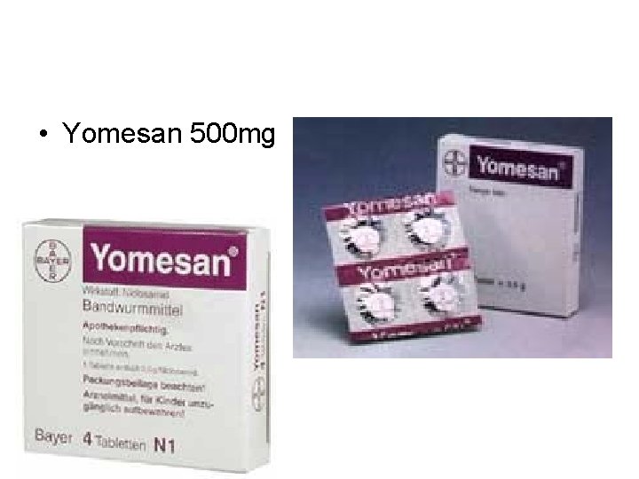 Sn dy Moniezia expansa Cestoda Cyclophyllidea Moniezia expansa