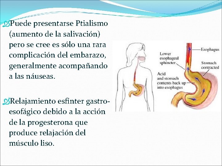Cambios Fisiolgicos en el Embarazo ENFM121 2009 Lorena