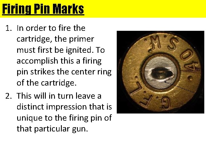 Firearms A Quick History 1 Almost every gun