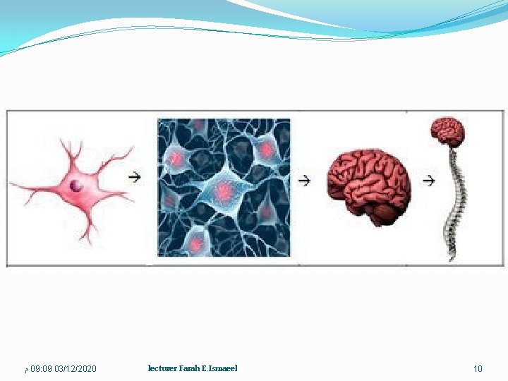 Medical biology cytology LEC 1 INTRODUCTION AND CELL