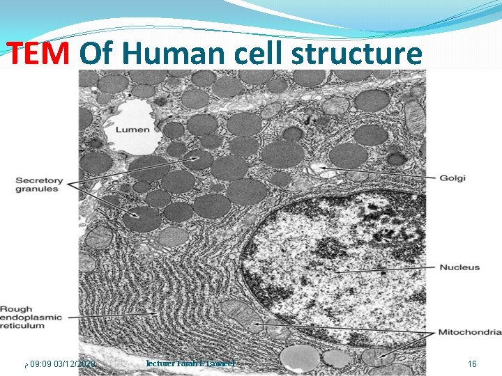 Medical biology cytology LEC 1 INTRODUCTION AND CELL