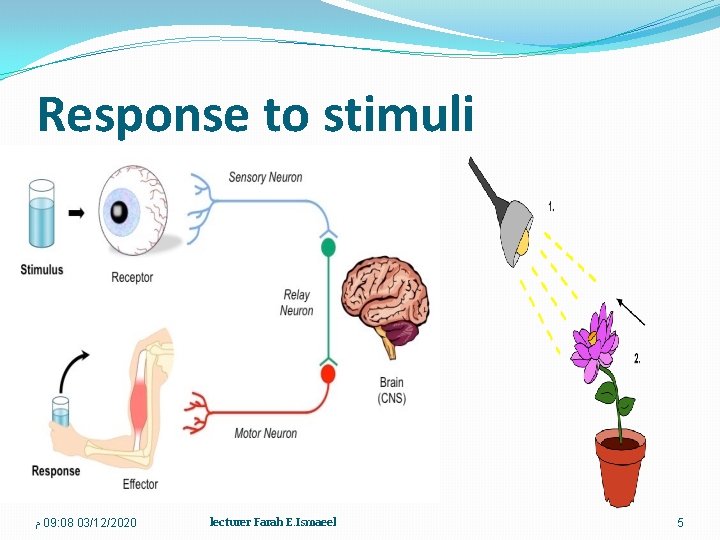 Medical biology cytology LEC 1 INTRODUCTION AND CELL