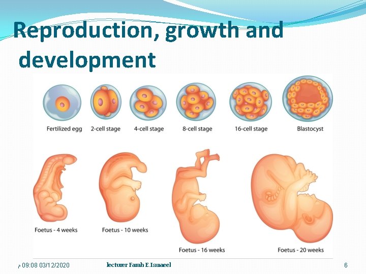 Medical biology cytology LEC 1 INTRODUCTION AND CELL