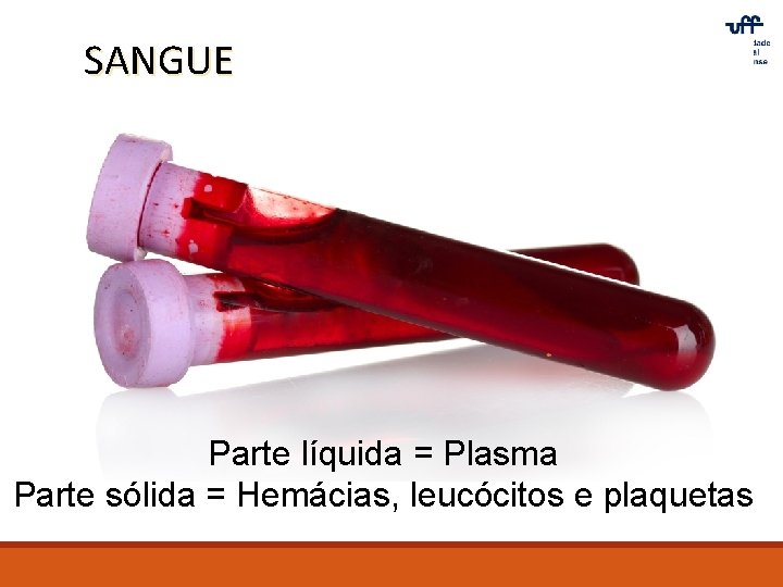 FISIOLOGIA DO SANGUE HEMACIAS E LEUCCITOS ELYZABETH DA