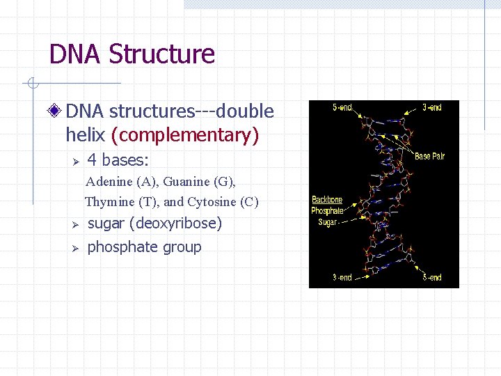 DNA Based Biosensors Yingli Fu Biological Resources Engineering