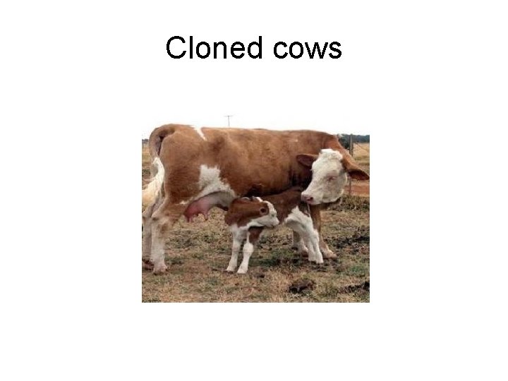 Cloning Learning Objectives Know that a clone is