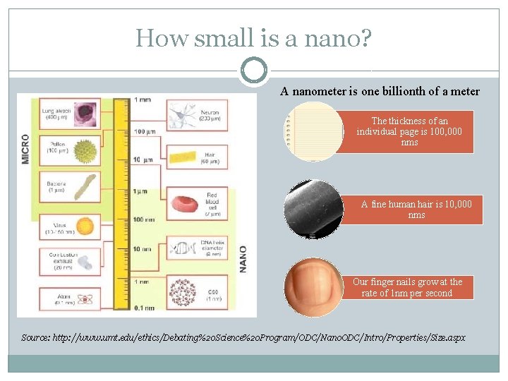 Nanoparticle Mediated Genetic Transformation in Plants PBIO 45005500