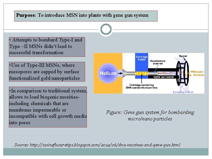 Nanoparticle Mediated Genetic Transformation in Plants PBIO 45005500