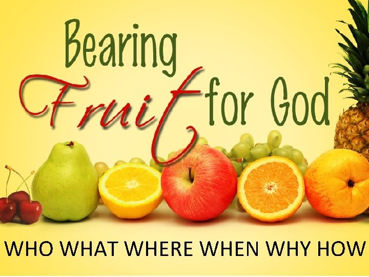 2 Timothy 3 16 17 Gods word is