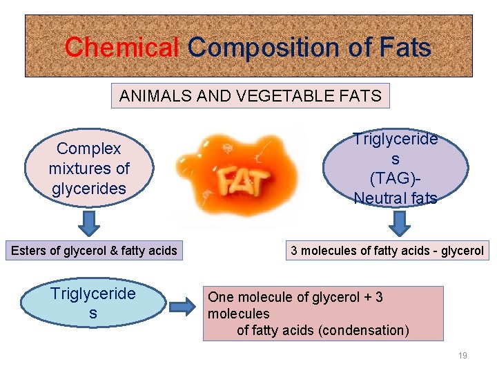 UNIT 3 CHEMISTRY OF LIPIDS OBJECTIVES Define lipids