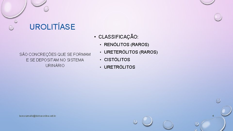 SISTEMA URINRIO PARTE II LEONORA MELLO CLNICA MDICA