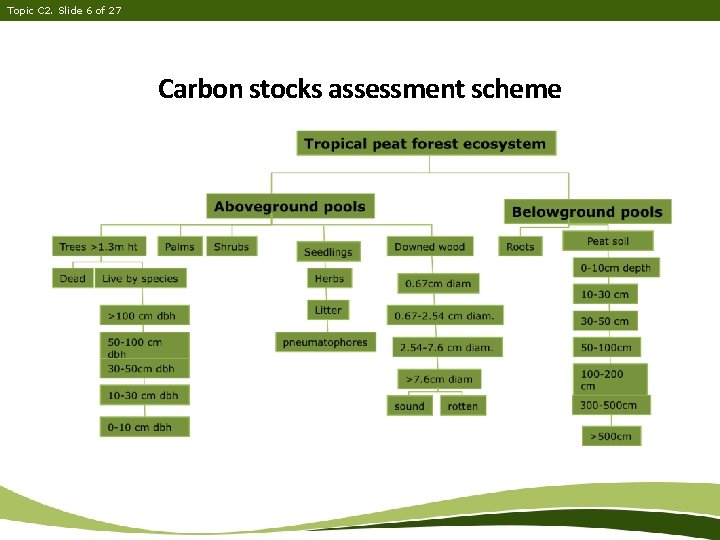 Topic C 2 Carbon stocks assessment in tropical