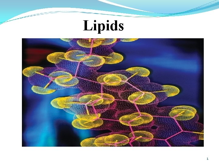Lipids 1 References Organic and biochemistry for today