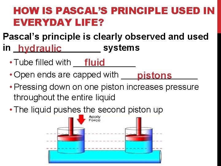 FORCES IN FLUIDS PASCALS PRINCIPLE WHAT IS PASCALS