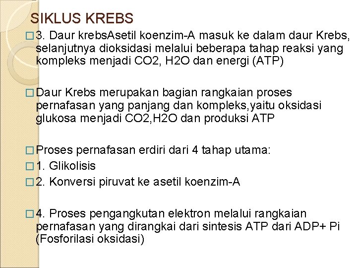 SIKLUS ASAM SITRAT SIKLUS KREBS SIKLUS KREBS Pertama