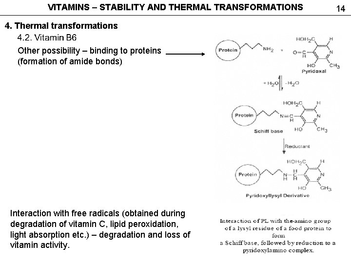 VITAMINS STABILITY AND THERMAL TRANSFORMATIONS OBJECTIVES 1 Stability