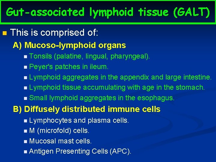 Histology of the mucosal lymphatic tissues n The