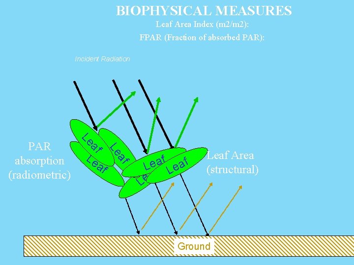 Vegetation Indices Radiometric measures of the amount structure