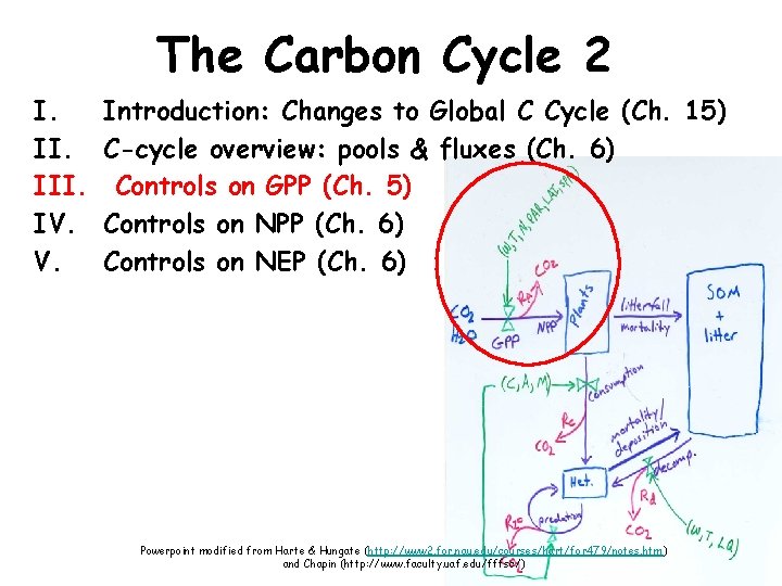 The Carbon Cycle 2 I III IV V