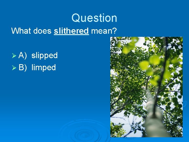 The Great Kapok Tree by Lynne Cherry Vocabulary