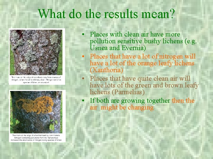 Lichens and Pollution Is our air clean Activities