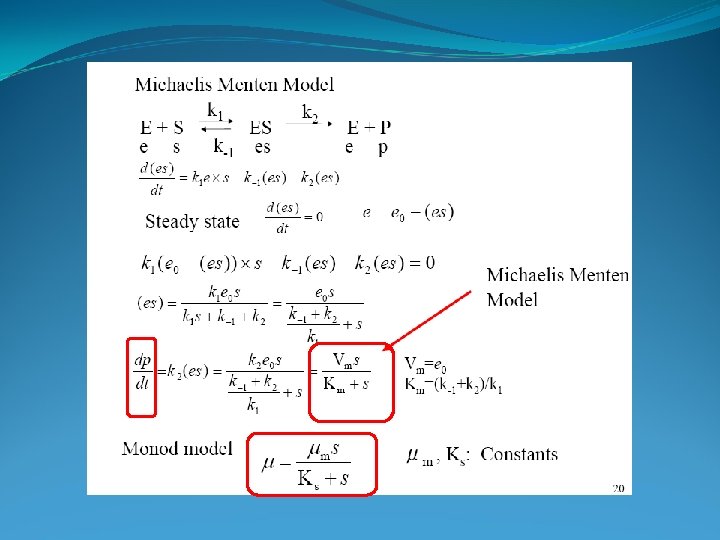 Reaction Engineering Batch culture exponential phase balanced growth