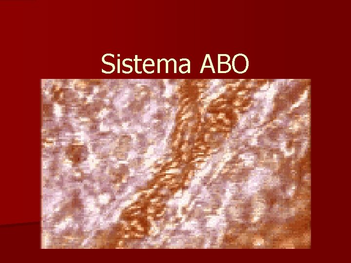 Sistema ABO Histrico n Sistema proposto em 1900