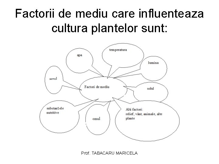 Influenta factorilor de mediu asupra cultivarii plantelor Clasa