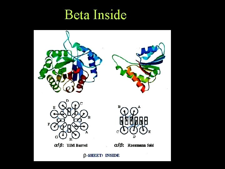 1 Protein Structure protein folding Park Jong Hwa