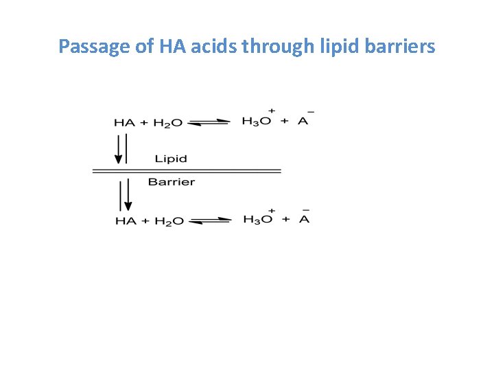 Medicinal chemistry Third stage Lecture 3 AcidBase Dr