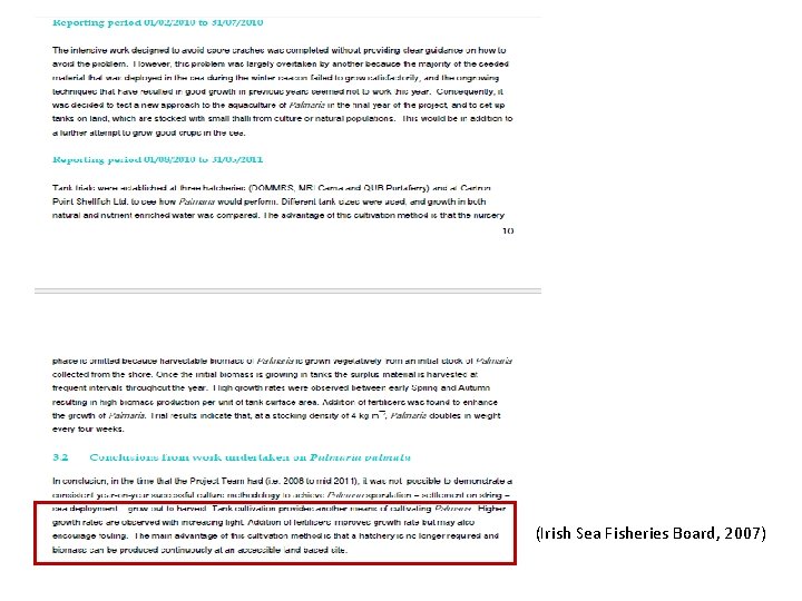 The Cultivation of Red Seaweed Rhodophytes Kappaphycus spp