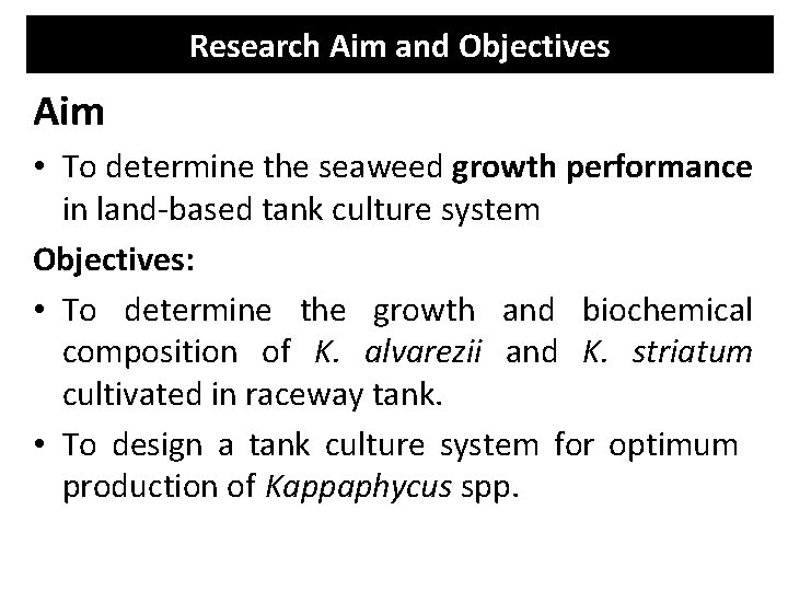 The Cultivation of Red Seaweed Rhodophytes Kappaphycus spp