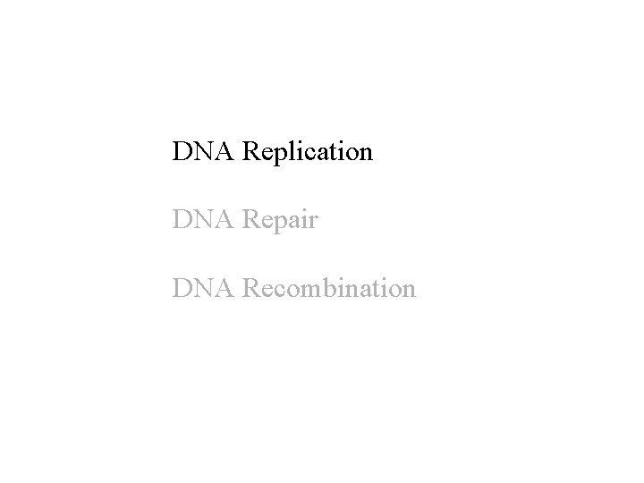 Lecture 3 DNA Replication and Repair DNA Replication