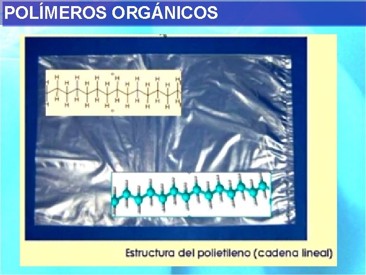 Colegio Andrs Bello Chiguayante II UNIDAD POLIMEROS NATURALES