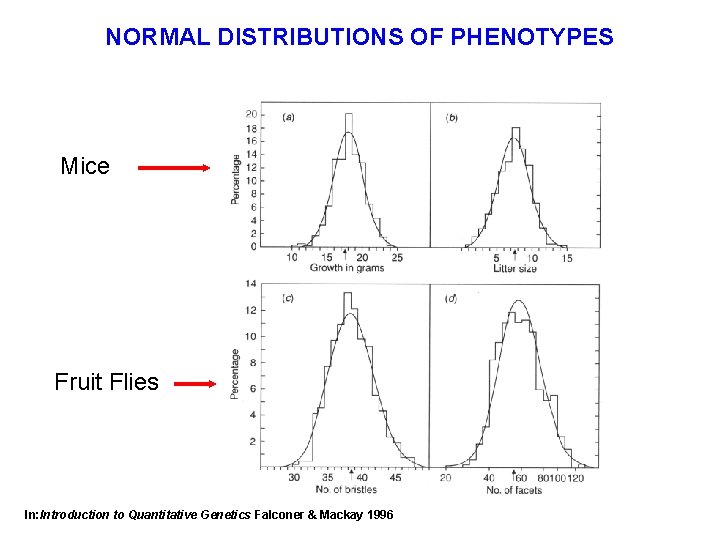 NORMAL DISTRIBUTIONS OF PHENOTYPES Mice Fruit Flies In