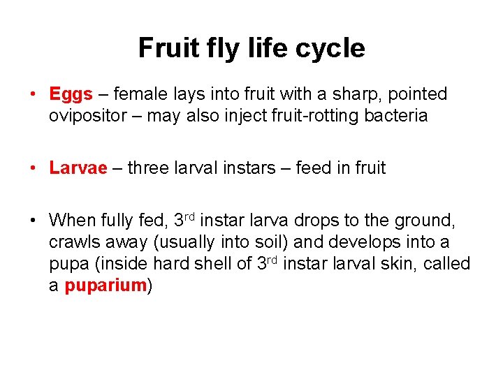 Fruit flies Taxonomy biology and management and some