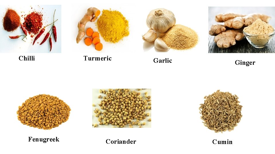 Spices Spices are those plants the product of