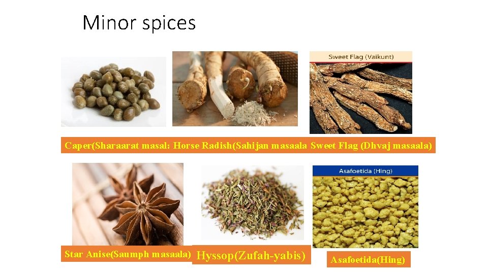 Spices Spices are those plants the product of