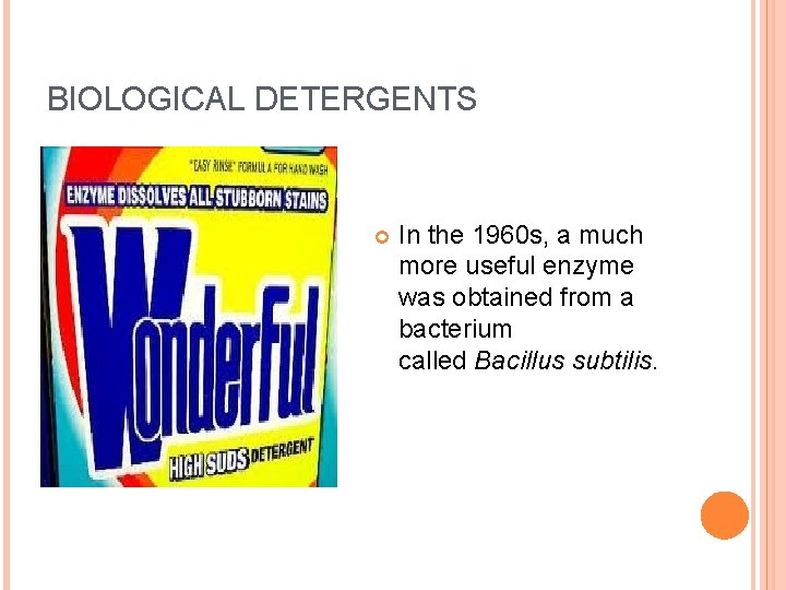 HOW BACTERIA ARE USED TO PRODUCE ENZYMES FOR